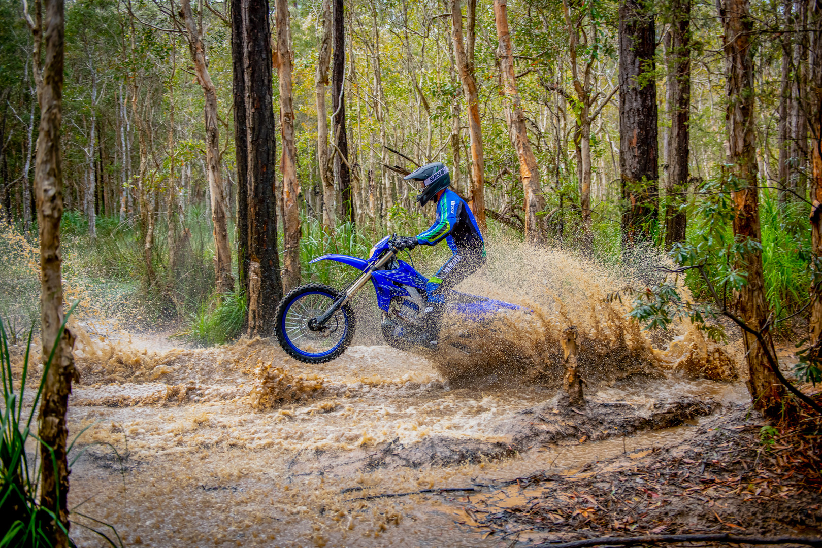 WR450F